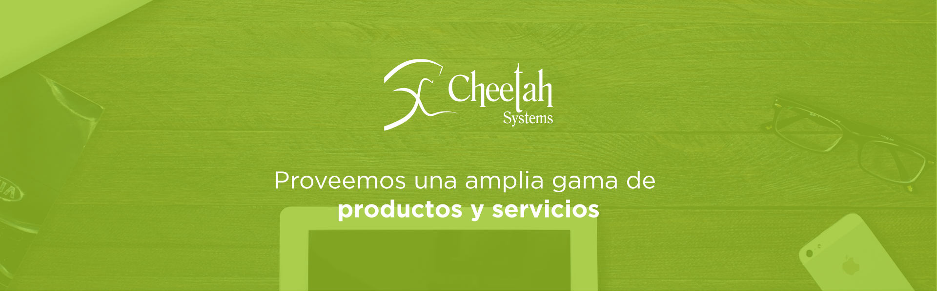 Cheetah Systems | TI para ti