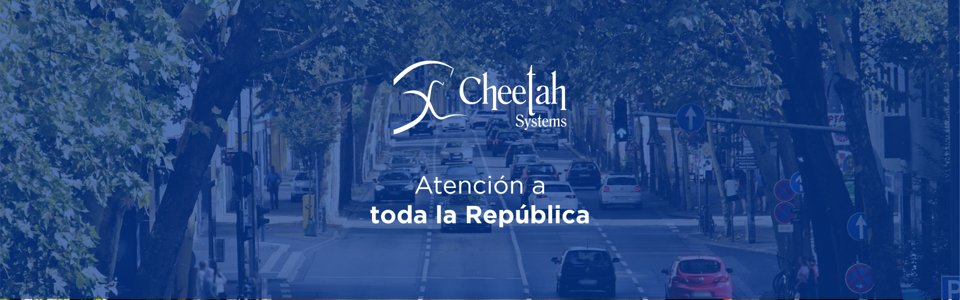 Cheetah Systems | TI para ti